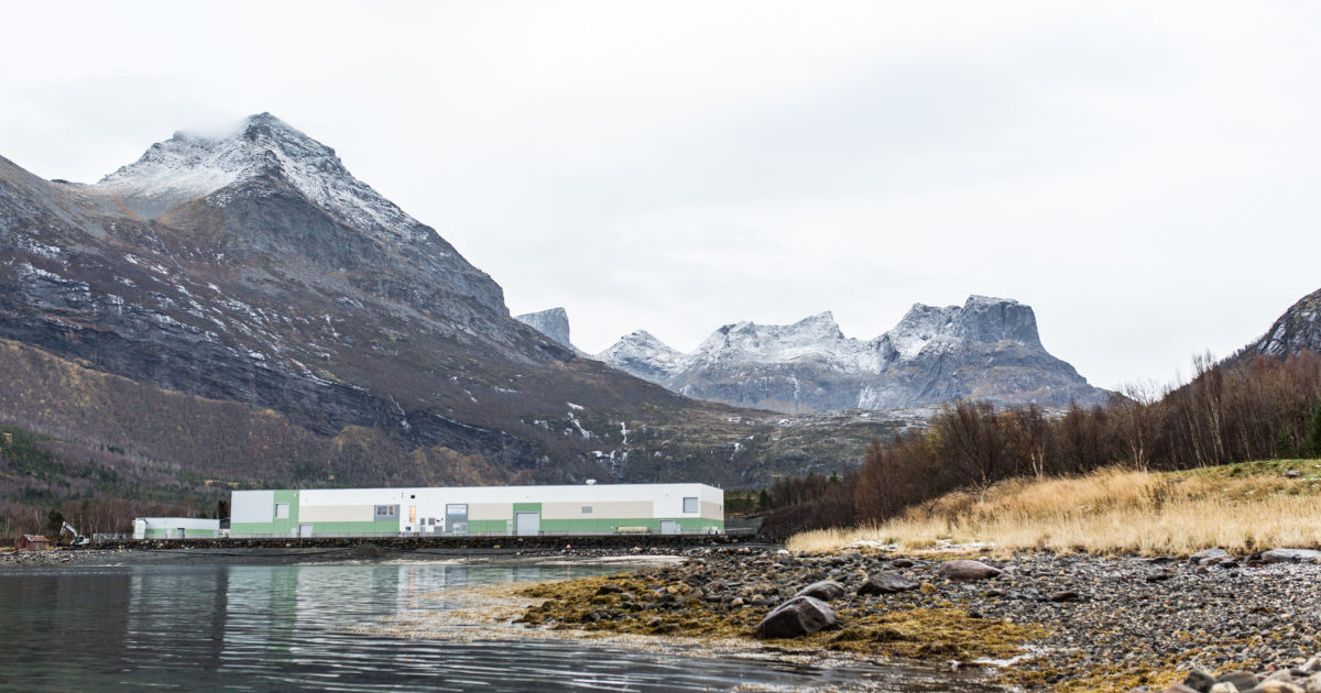 Forsan - Cermaq Norway
