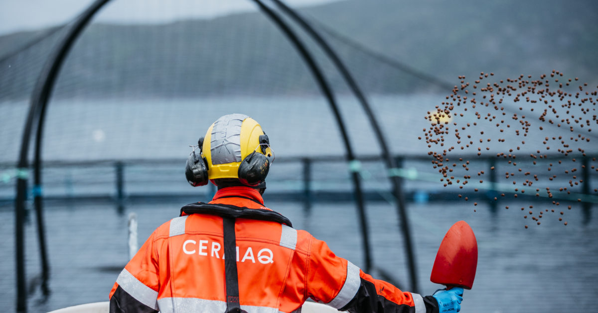 Nyheter fra Cermaq - Cermaq Norway