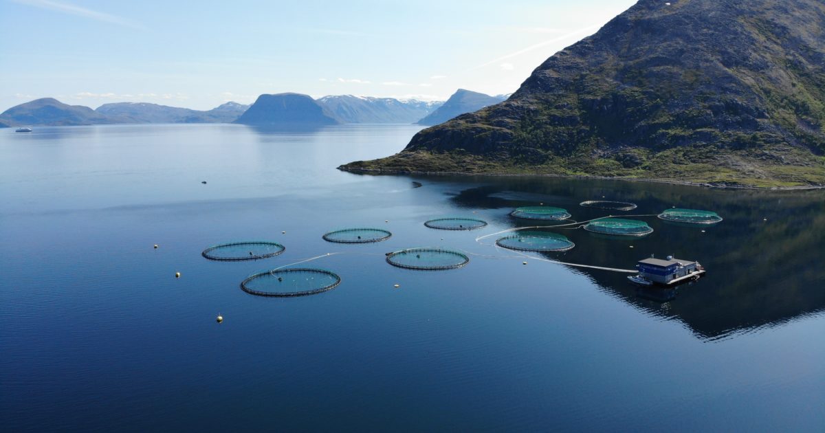 Home - Cermaq Norway