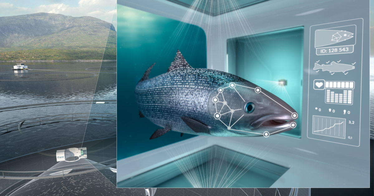 iFarm - Cermaq Norway