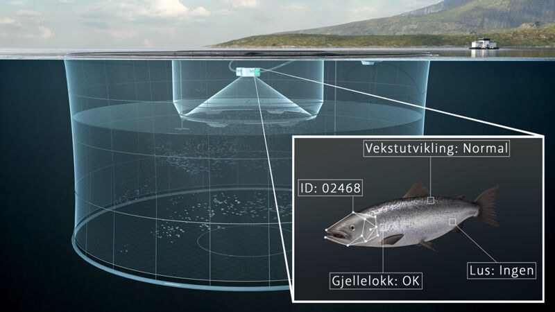 iFarm - Cermaq Norway