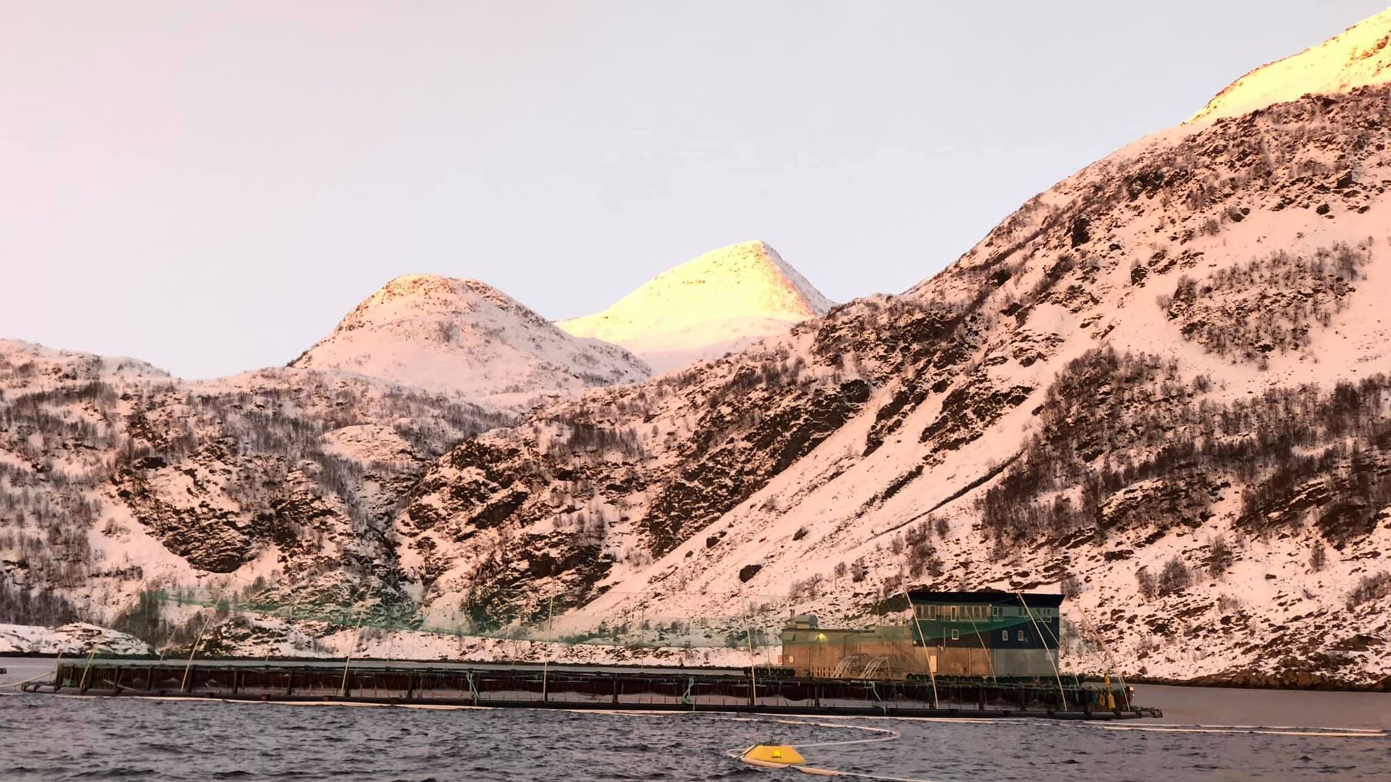 ASC-revisjon - Cermaq Norway
