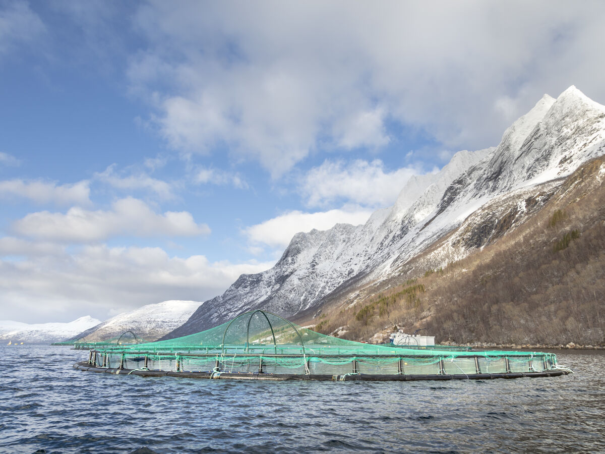 Home - Cermaq Norway